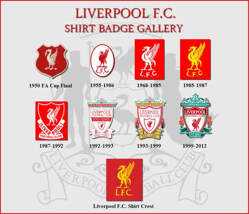 What Is the Liver Bird? the Symbol of Liverpool FC | Cheap Football Shirts