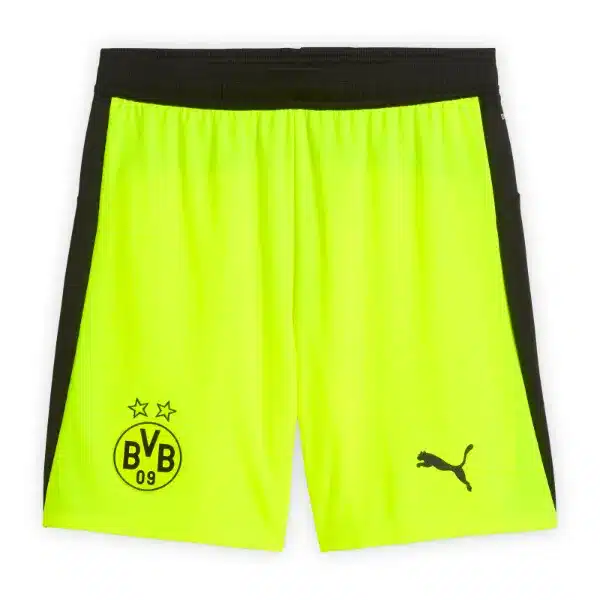 Borussia Dortmund Away Kit 2025/26 Released – Silver Mist with Yellow